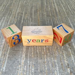 BB Blocks | Other | Bb Blocks Baby Milestone Age Photo Blocks Weekly ...